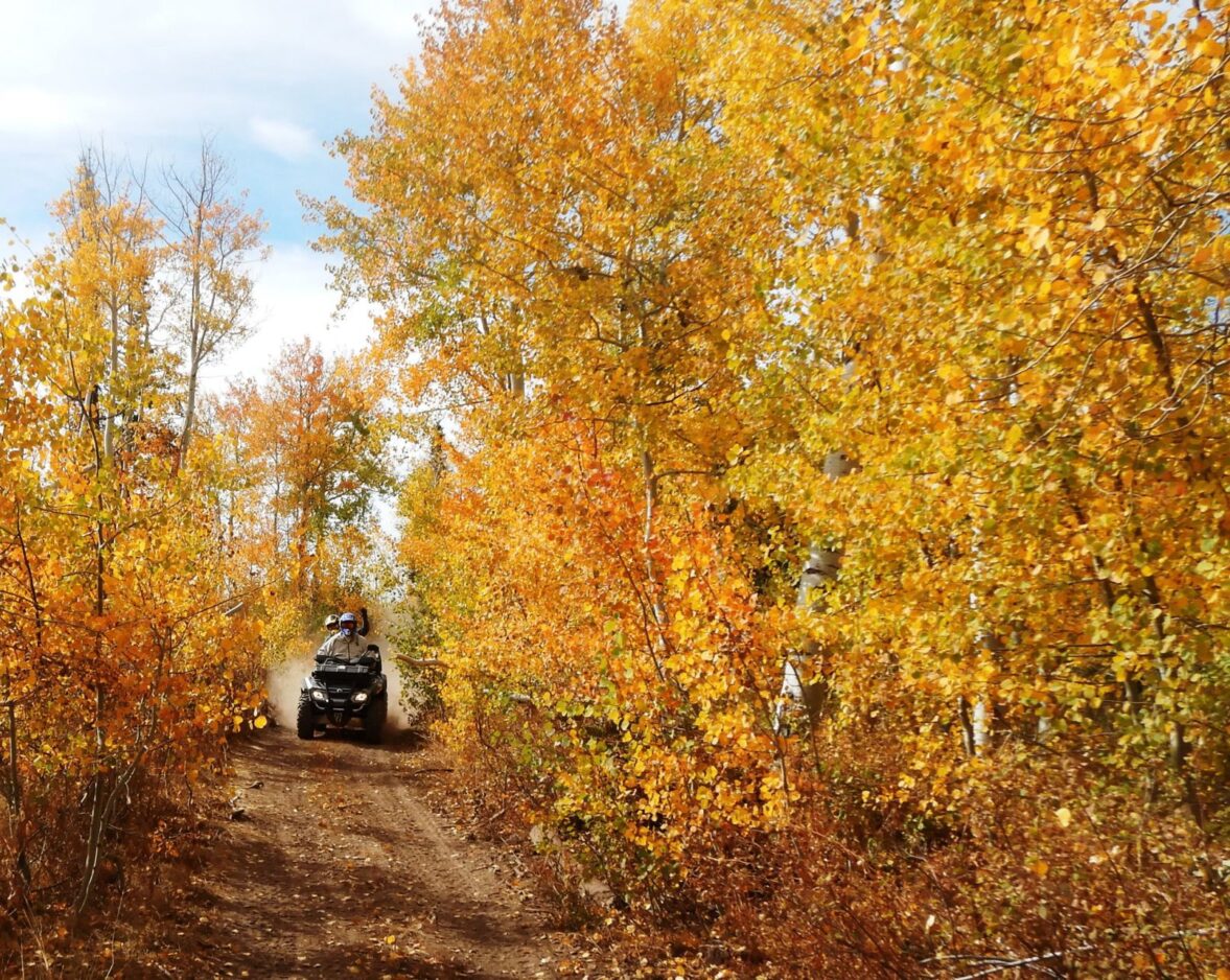 ATV Adventures: ATV volunteers assist the Forest Service | News, Sports ...